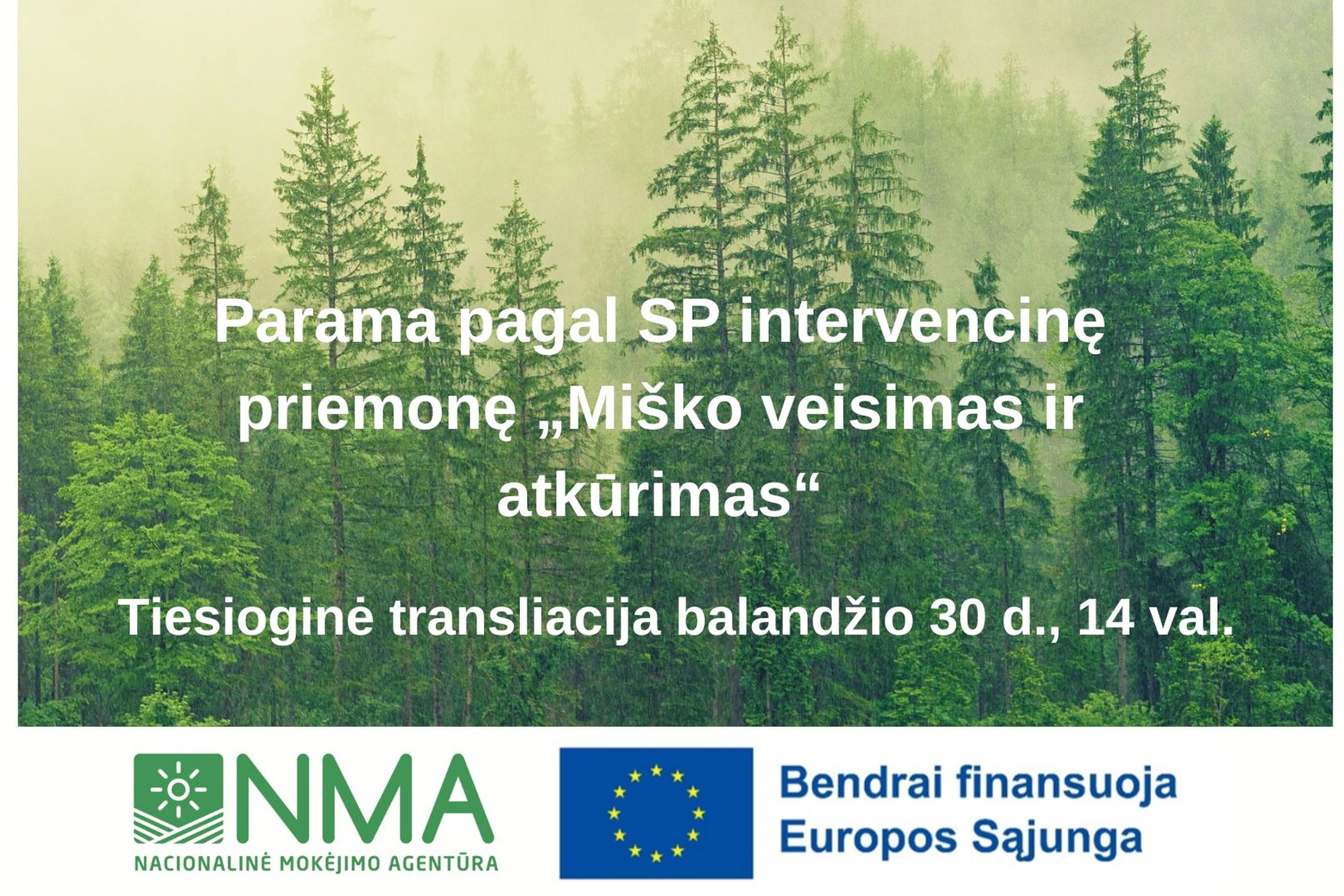 Kviečiame žiūrėti: transliacija apie paramą miško veisimui ir atkūrimui ...